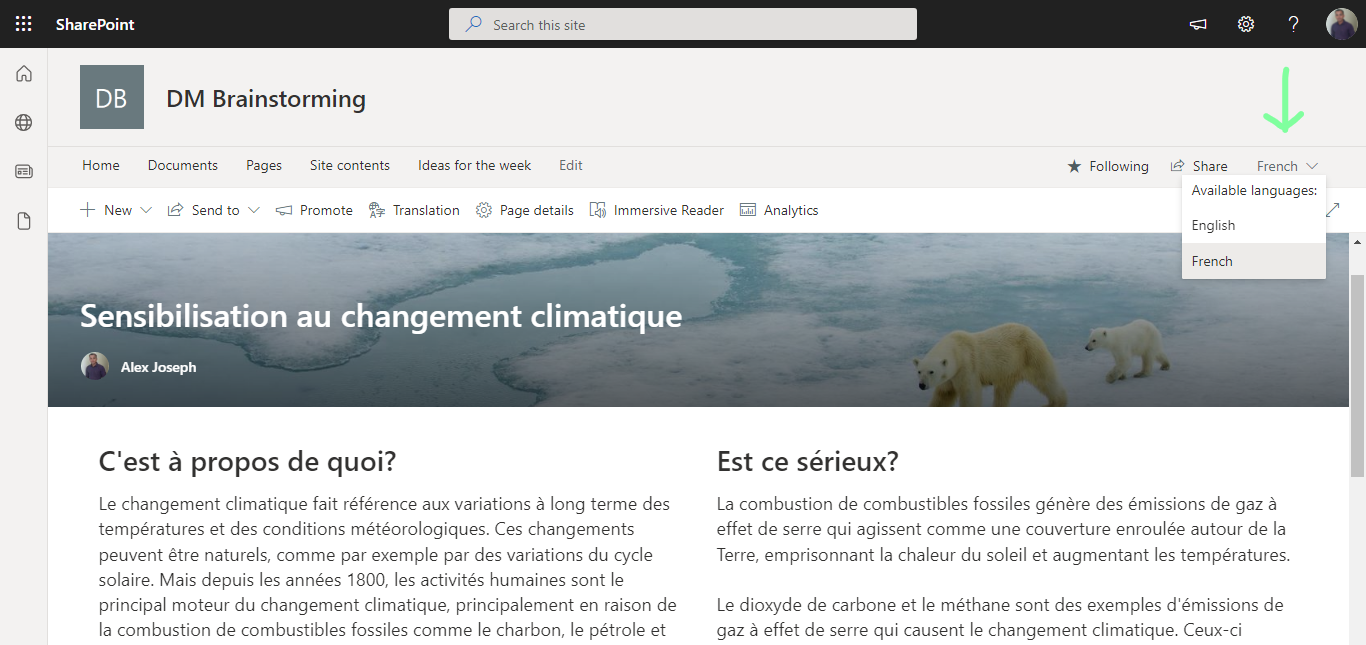 How To Create a Multilingual SharePoint Site